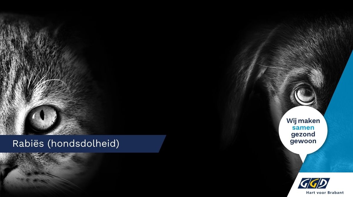 Overdracht Van Hondsdolheid